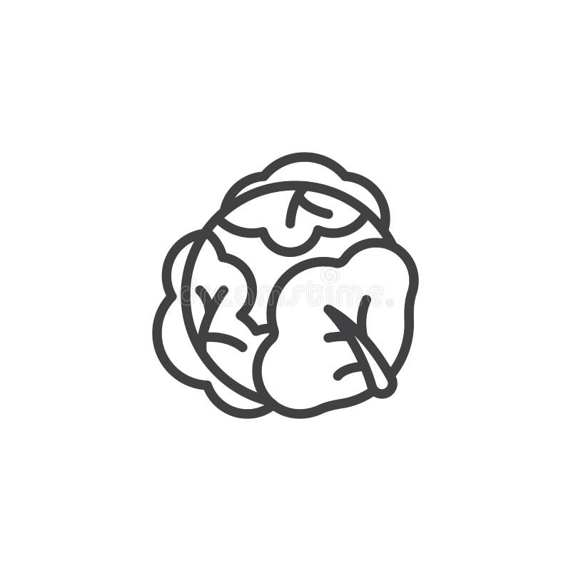 Cabbage Line Icon, Outline Vector Sign, Linear Pictogram Isolated on ...