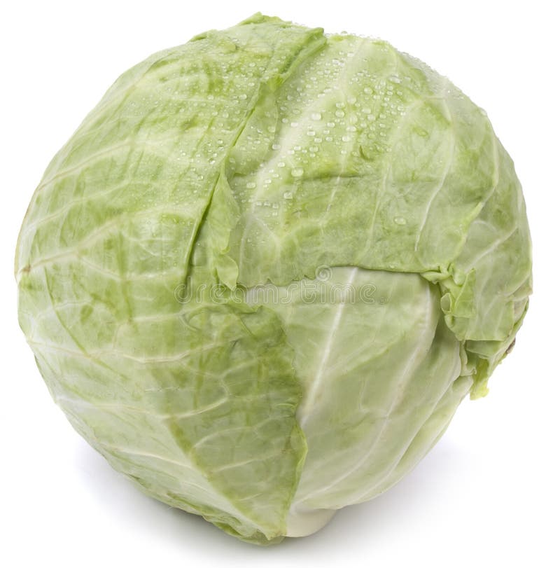 Cabbage stock image. Image of single, freshness, background - 10726155
