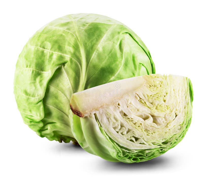 Cabbage stock photo. Image of nature, close, biology - 14880094