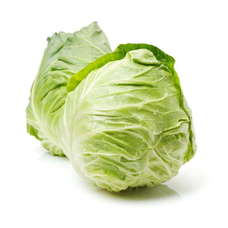 Cabbage on White Background Stock Photo - Image of organic, diet: 143568010