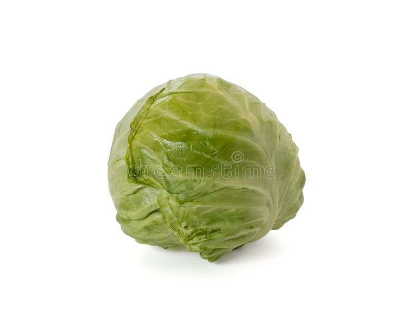 Fresh Cabbages on White Background Stock Photo - Image of background ...