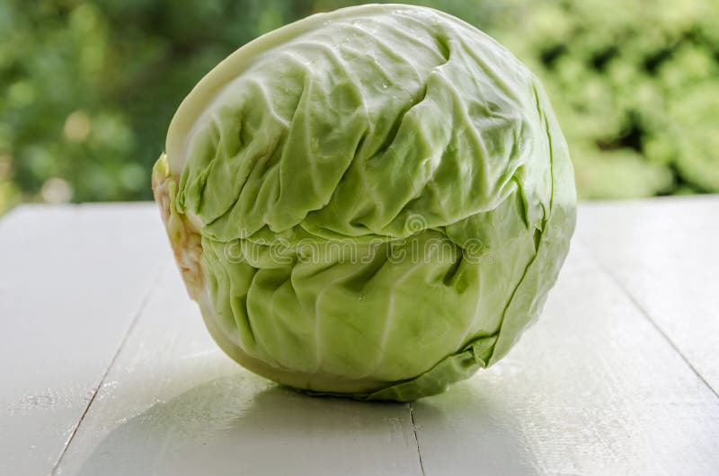 Cabbage on a Wooden Background. Side View. Close-up Stock Photo - Image ...