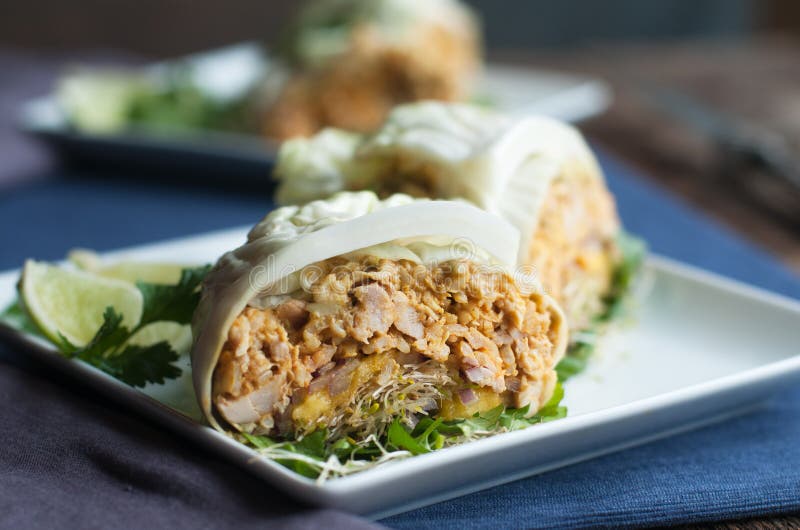 Cabbage Wrap stock photo. Image of vegetable, colorful - 49113818