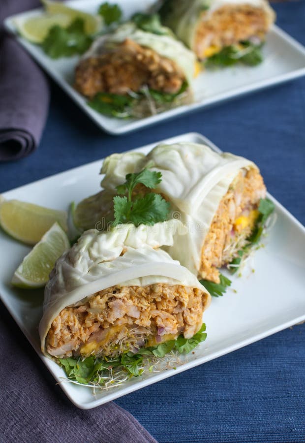 Cabbage Wrap stock photo. Image of food, wrap, rice, green - 49113820
