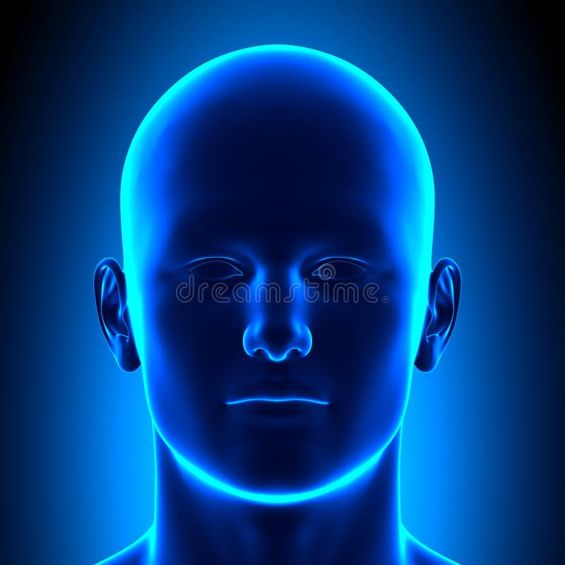 Cabeça Da Anatomia - Front View - Conceito Azul Ilustração Stock ...