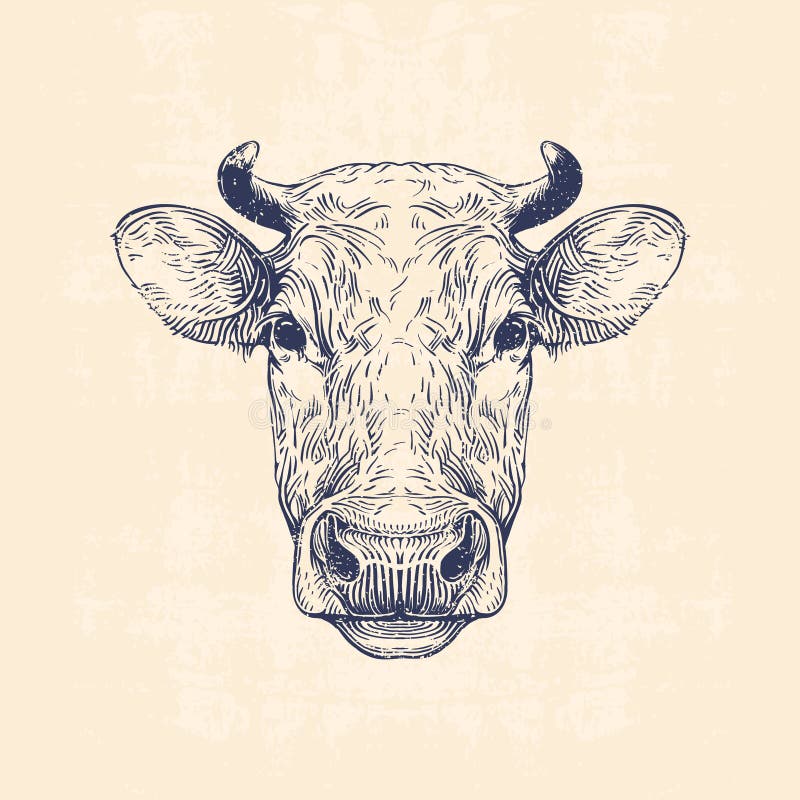Cabeça da vaca ilustração do vetor. Ilustração de desenho - 90354808