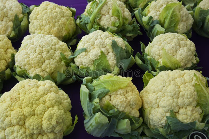 Cabeza de la coliflor imagen de archivo. Imagen de fresco - 70420051