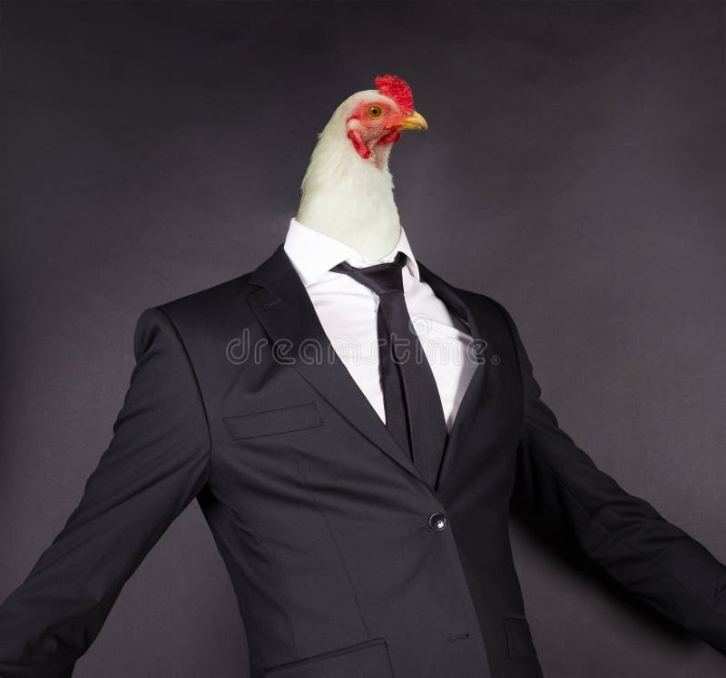 Cabeza De Pollo Con Traje Negro Foto de archivo - Imagen de éxito ...
