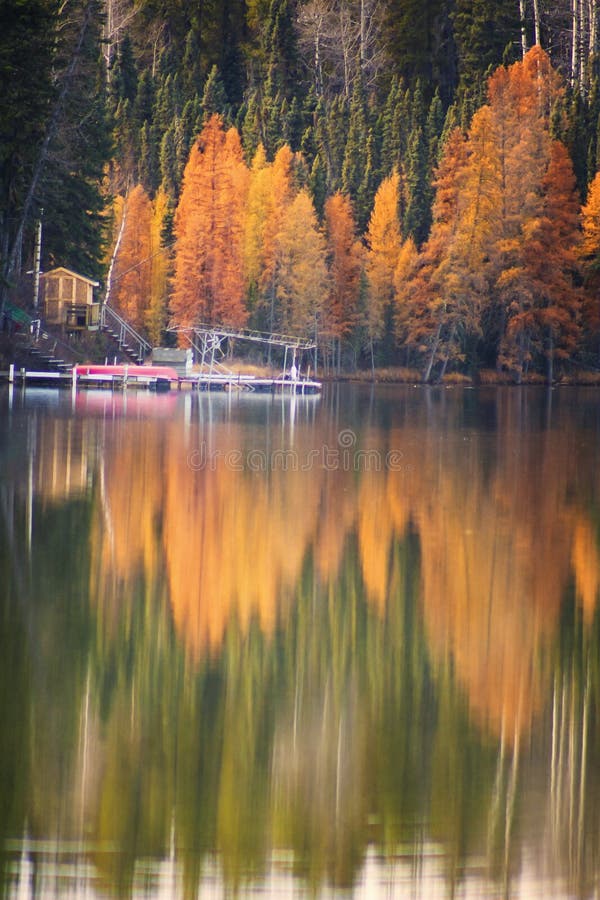 At the Cabin stock photo. Image of manipulation, autumn - 206328382