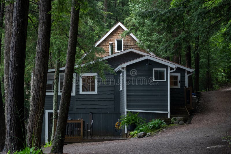 A Cabin in the Canadian Forest Stock Image - Image of idyllic, roof ...