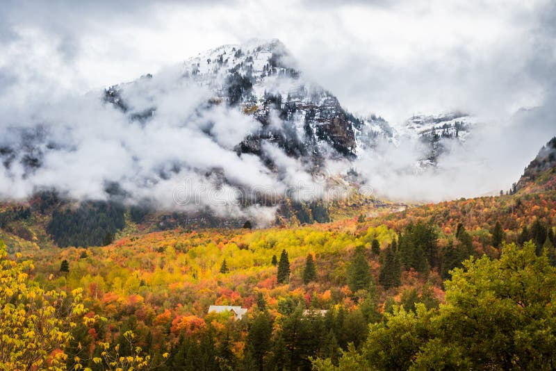 A Cabin in a Forest with Fall Colored Leaves Below Cloud Covered ...