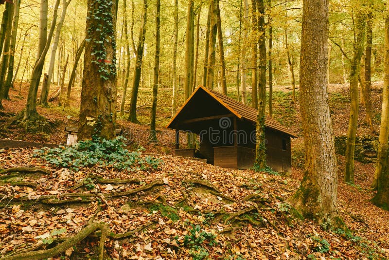Old Log Cabin In The Forest Stock Photo - Image of jurgow, landscape ...