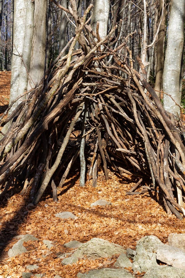 Cabin Made of Wood with Sticks in the Forest Stock Image - Image of ...