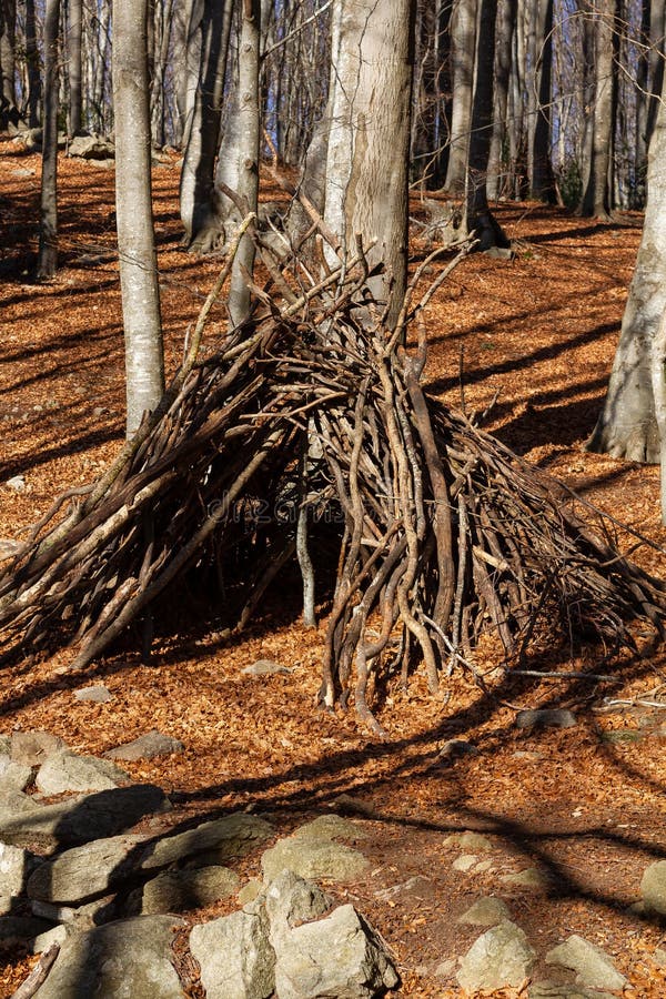 Cabin Made of Wood with Sticks in the Forest Stock Photo - Image of ...
