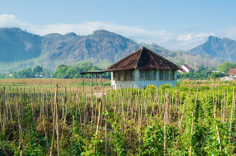 A Cabin in the Middle of the Farm with Beautiful Mountain Views Stock ...
