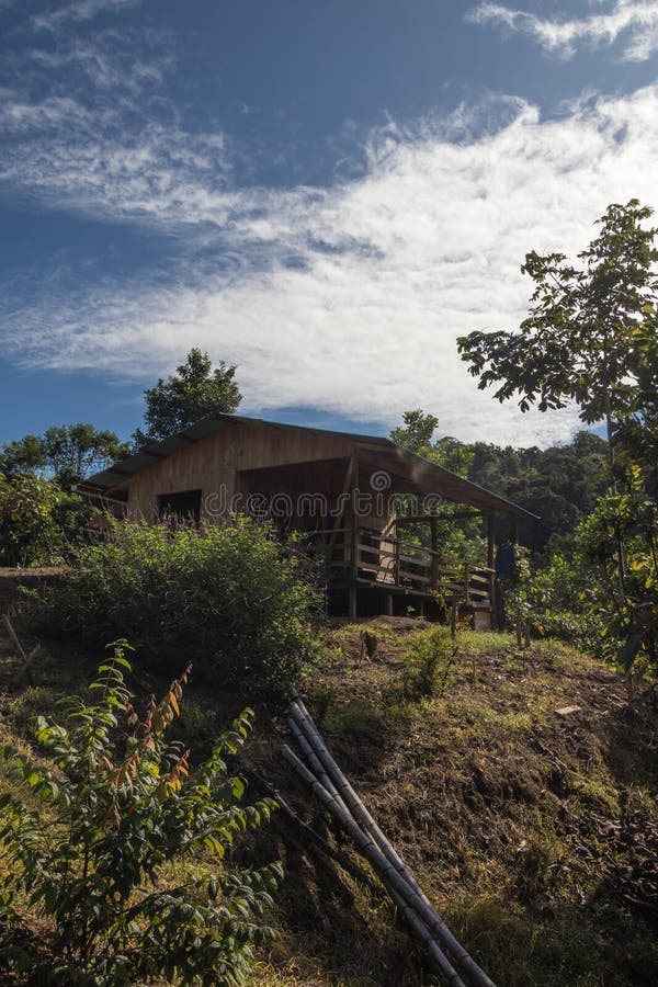 Cabin in the Middle of Green Mountain Vegetation on a Sunny Morning ...