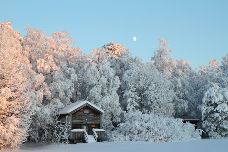 Old log cabin in winter stock photo. Image of trees, dwelling - 18010570