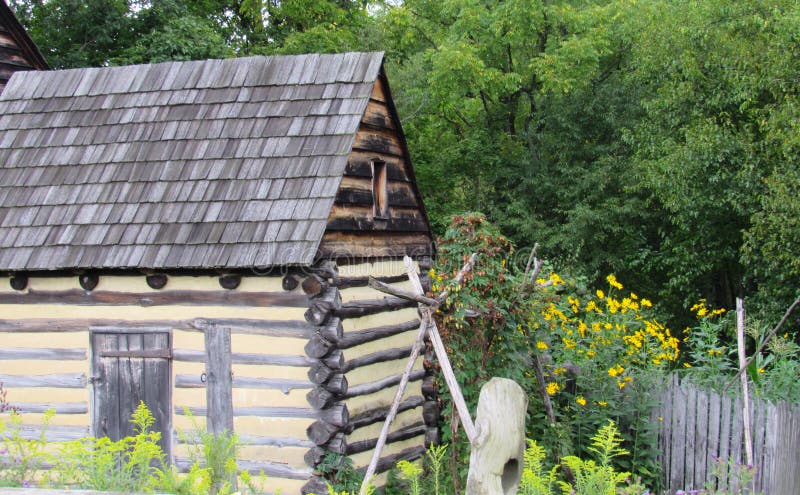 Cabin shed stock image. Image of shack, yard, tree, wood - 255823407