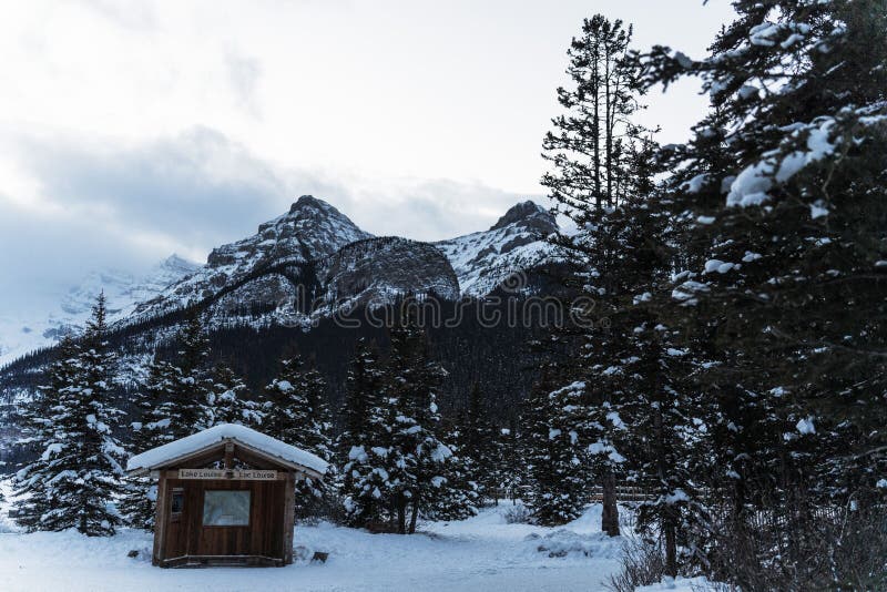 Cabin in the Woods Covered with Snow Editorial Photography - Image of ...