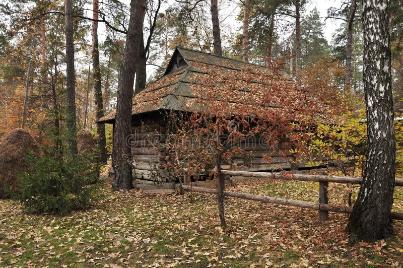 Cabin in the woods stock image. Image of scene, landscape - 73988567