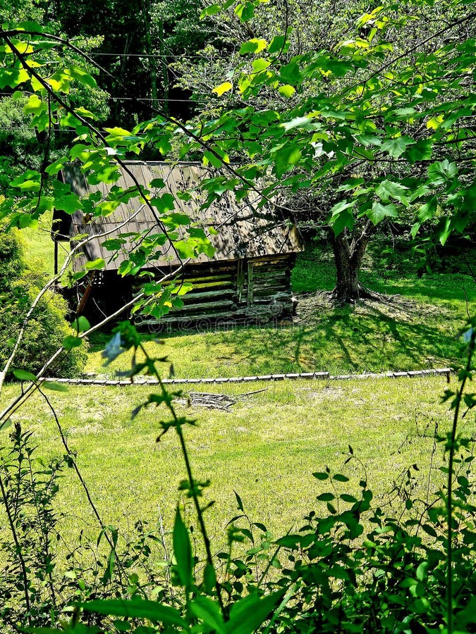 Cabin in the woods stock image. Image of cabin, scape - 130639165