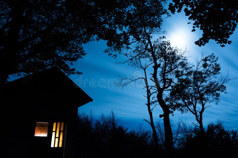 Cabin in the Woods Lit with Moonlight Stock Photo - Image of trees ...