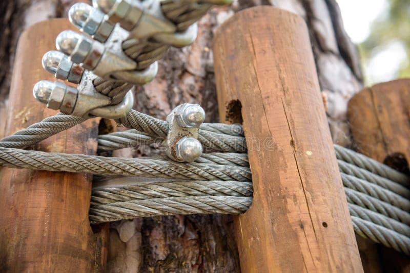 Cable Attached Around Tree Stock Photos - Free & Royalty-Free Stock ...