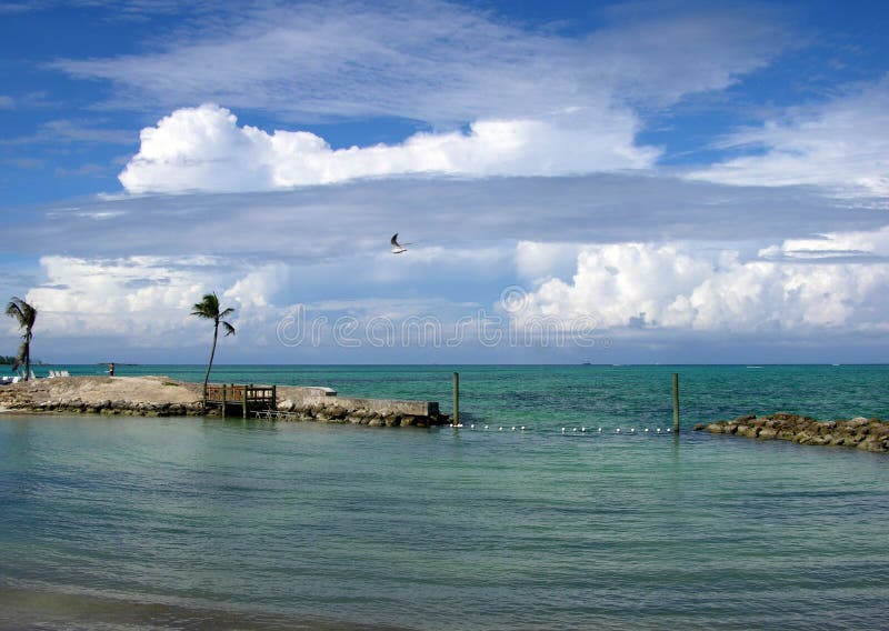 Cable Beach stock photo. Image of tropical, skyline, bahamas - 5817806