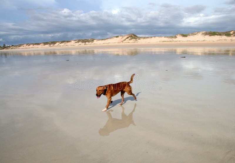 Cable Beach, Broome, Australia Stock Photo - Image of cable, reflection ...