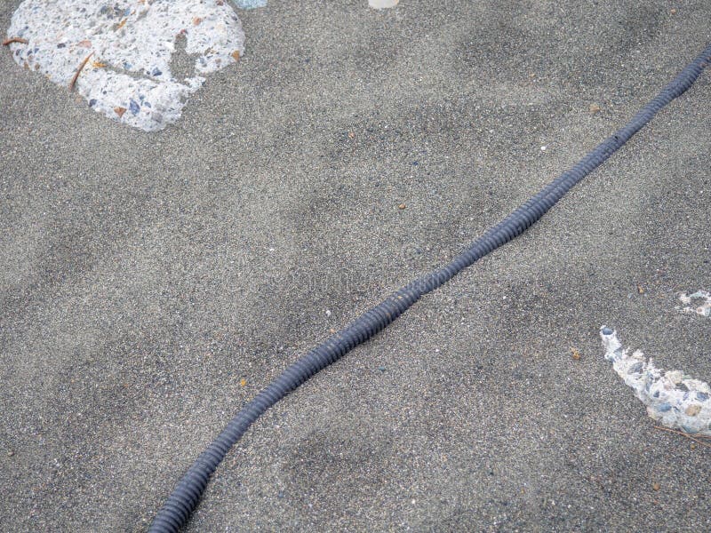Cable on Black Sand. the Cable Sticks Out of the Ground. Electrical ...
