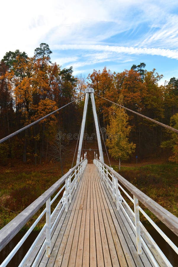 Cable bridge in the forest stock photo. Image of forest - 176708396