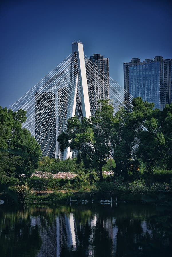 Cable Bridge and Modern Buildings Editorial Stock Image - Image of ...