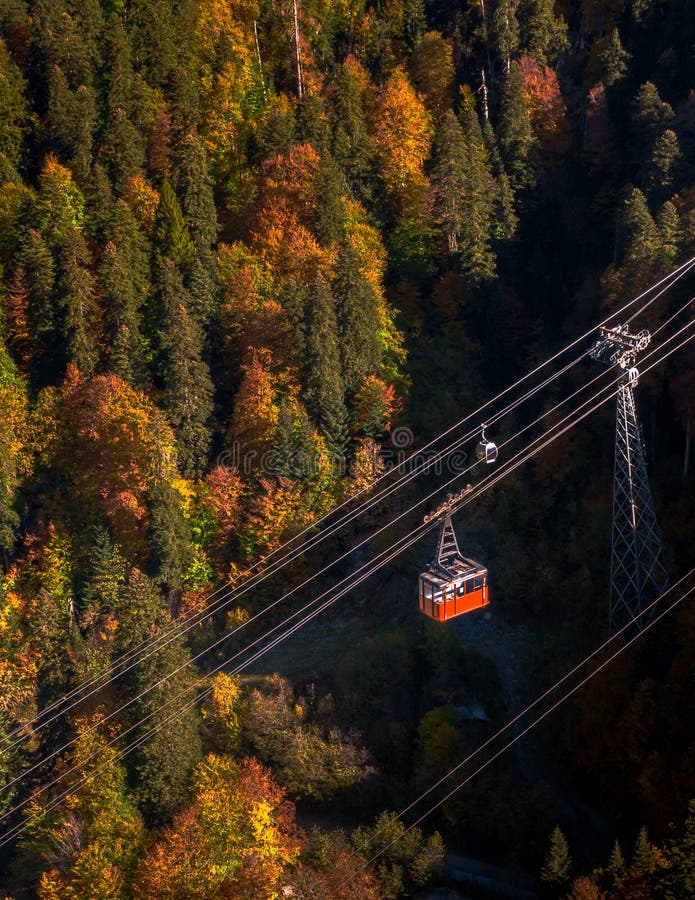 Cable Car Cabin in Mountains with Forest Stock Photo - Image of winter ...
