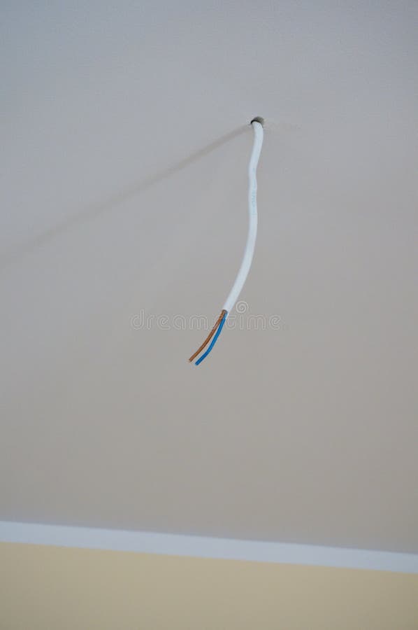 Cable stock photo. Image of power, electricity, ceiling - 48786574
