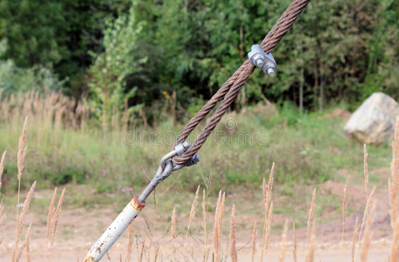 Cable rope stock photo. Image of rope, grass, safari - 99668104