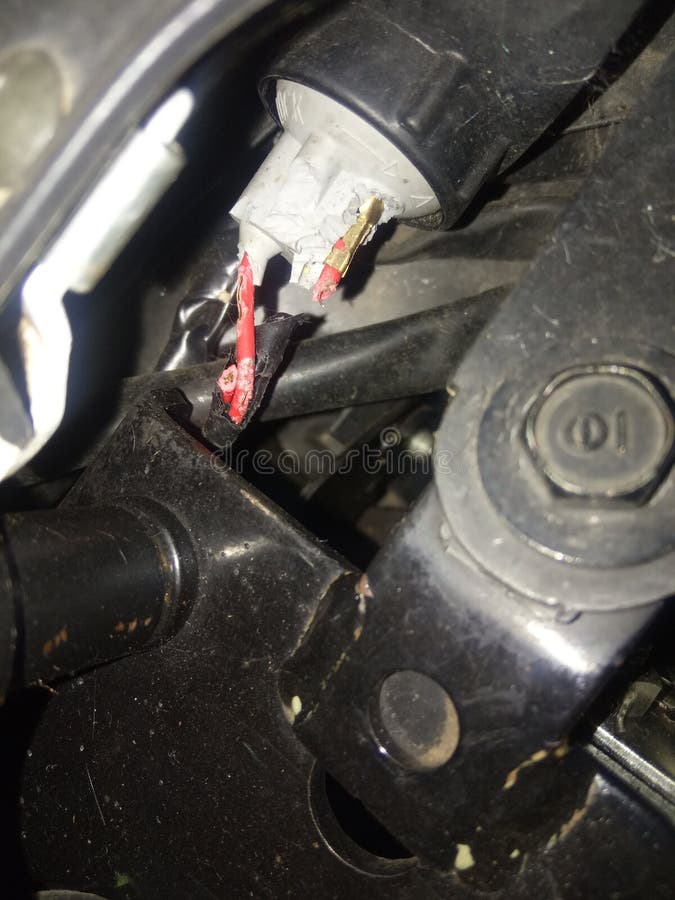 This is the Cable that Was Bitten by a Small Mouse Stock Photo - Image ...