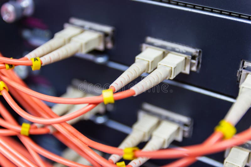 Cable Network , Fiber Optic Cable Connect To Switch Port in Server Room ...