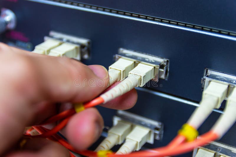Cable Network , Fiber Optic Cable Connect To Switch Port in Server Room ...