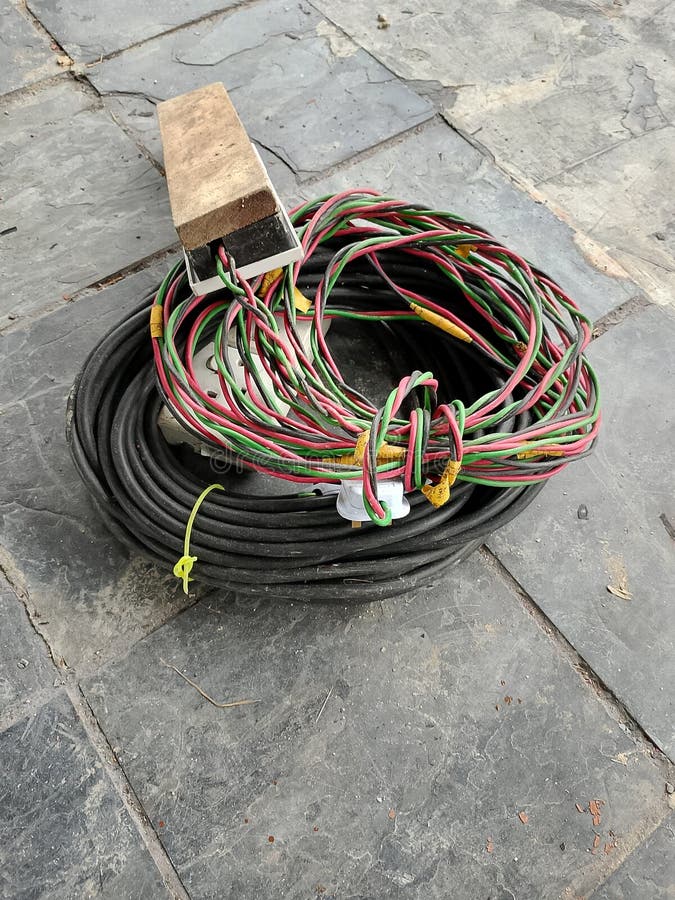 Top Whichbrown Stock Photos - Free & Royalty-Free Stock Photos from ...