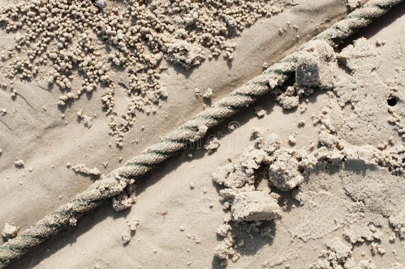 Cable sand panel stock image. Image of adsl, ethernet - 7299961