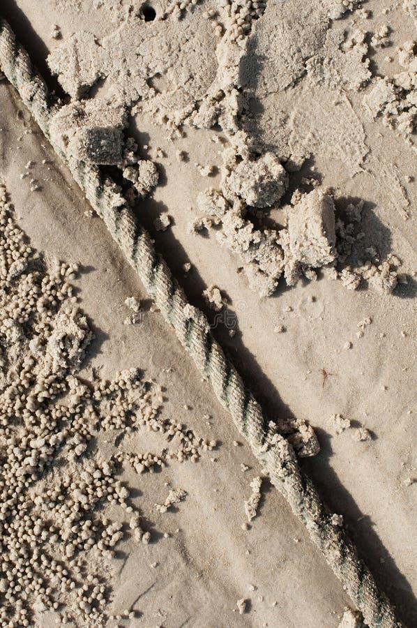 Cable sand panel stock image. Image of adsl, ethernet - 7299961
