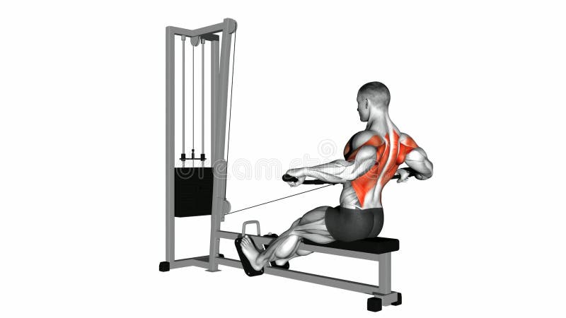Close Grip Seated Cable Row