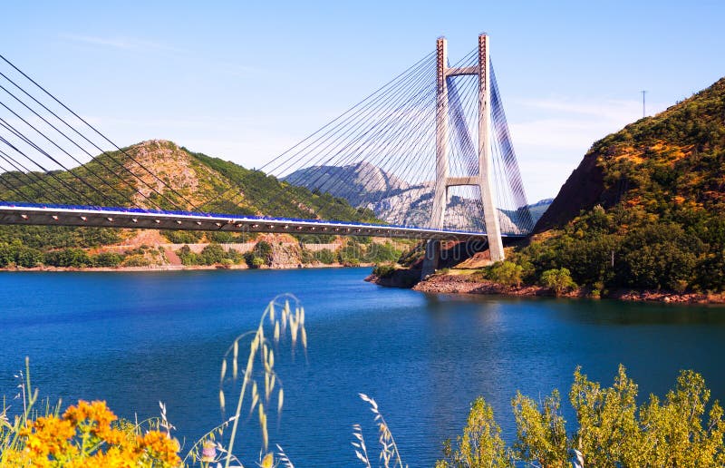 Cable-stayed Bridge Over Reservoir Stock Photo - Image of ...