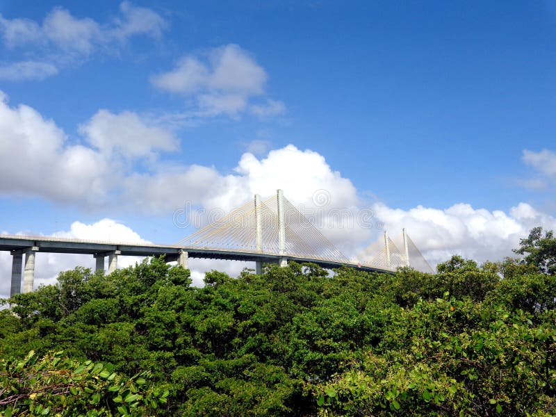 Cable-stayed Bridge and Trees Stock Image - Image of city, trees: 68327615