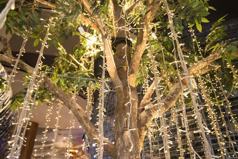 Cable of String Led Lights on Tree in the Garden at Night Time Used for ...