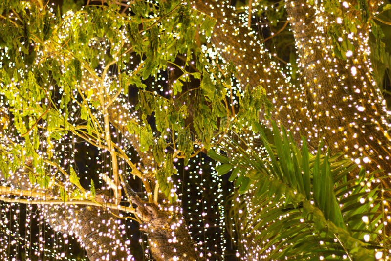 Cable of String Led Lights on Tree in the Garden at Night Time Used for ...