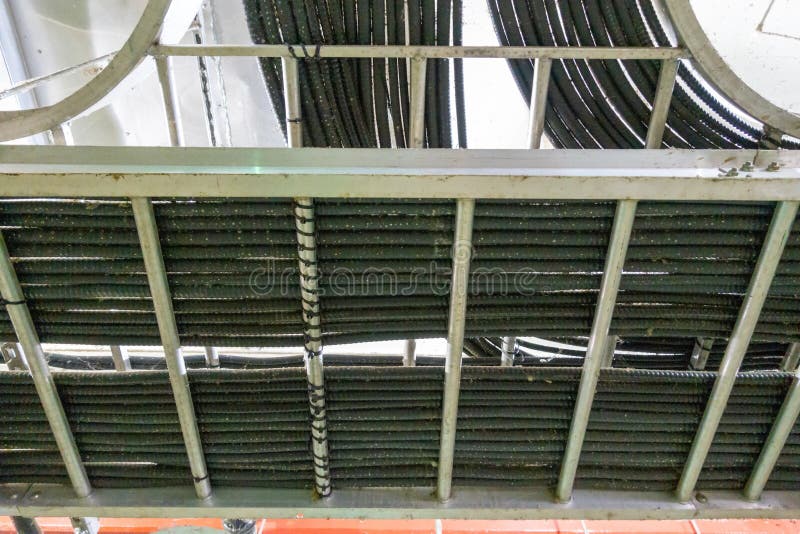 Cable Tray with Electrical Wiring Arrangement at Industrial Plant Stock ...