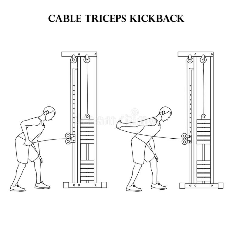 Cable Triceps Stock Illustrations – 57 Cable Triceps Stock Illustrations, Vectors & Clipart ...