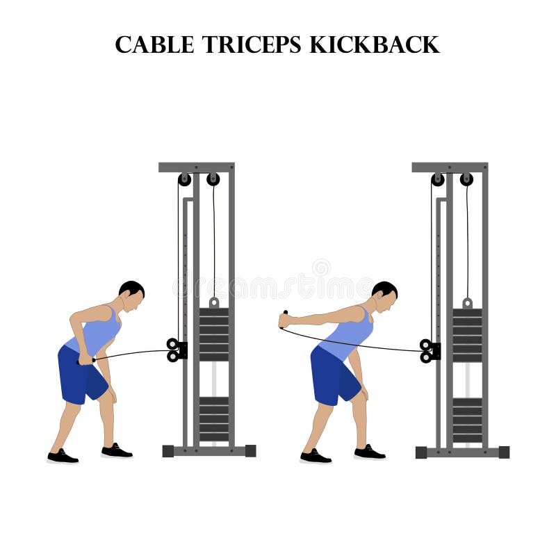 Triceps Workout Stock Illustrations – 1,423 Triceps Workout Stock ...