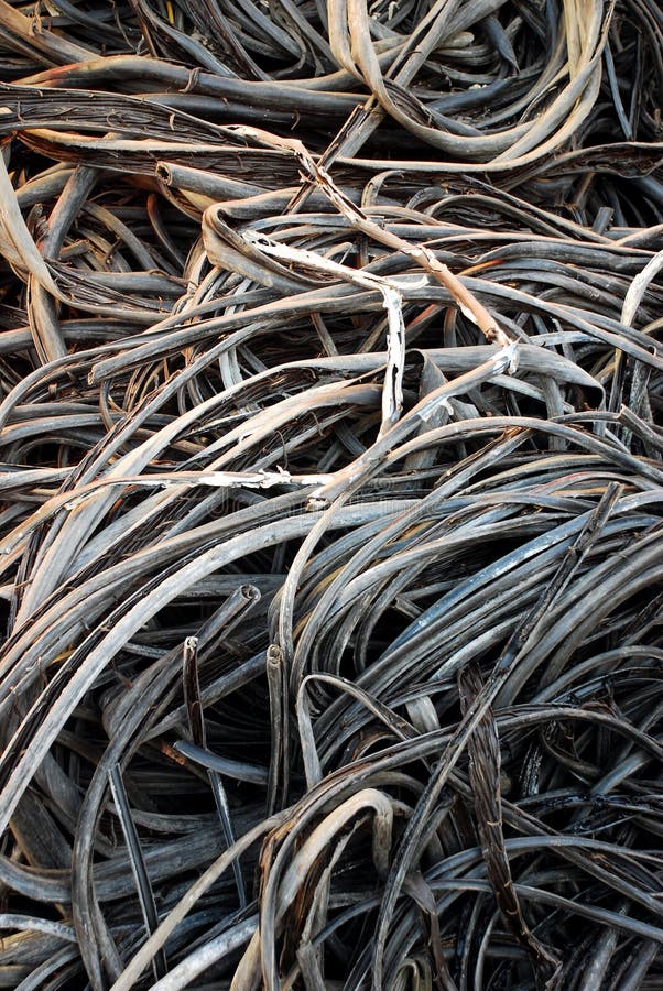 Cables stock photo. Image of contamination, bundled, chaos - 15235328